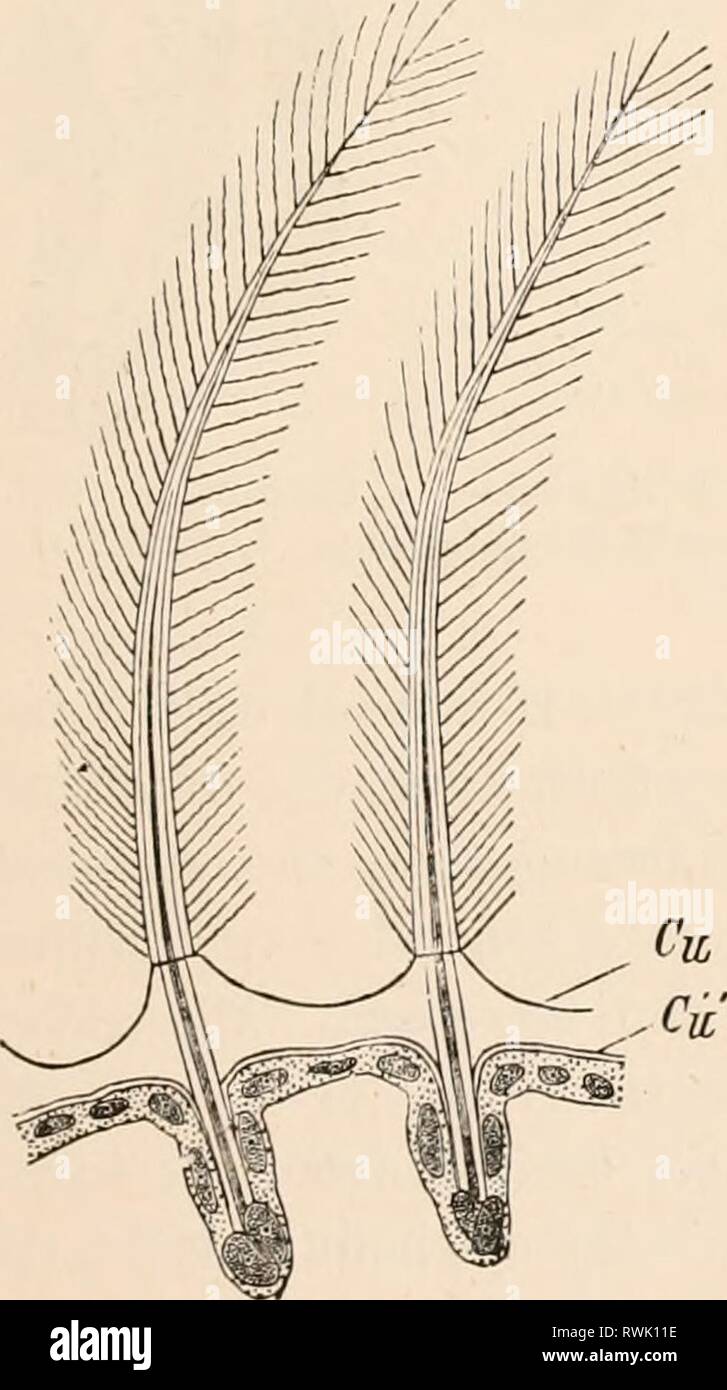 Borders angles hi-res stock photography and images - Alamy