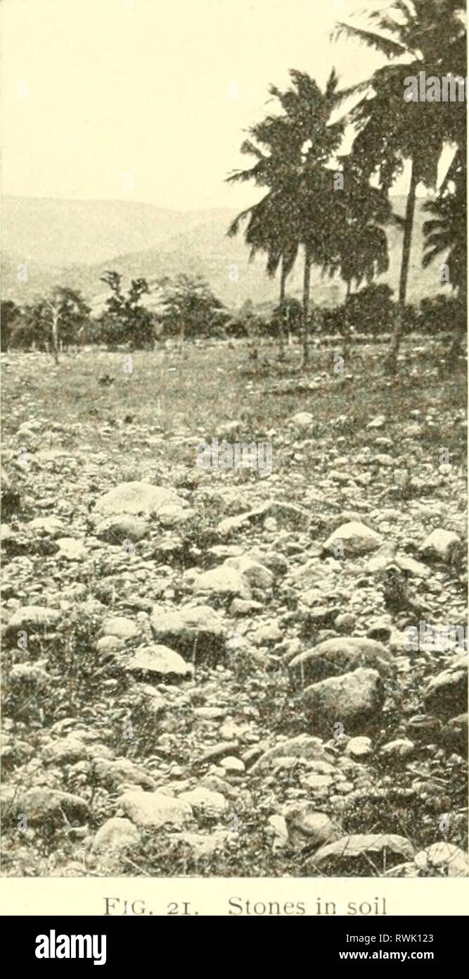Elements of Philippine agriculture (1908 Stock Photo - Alamy