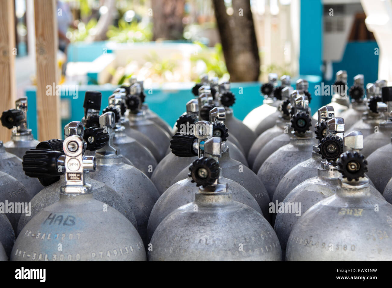 Scuba Tank Markings: What Do They All Mean? Scuba Diving, 40% OFF