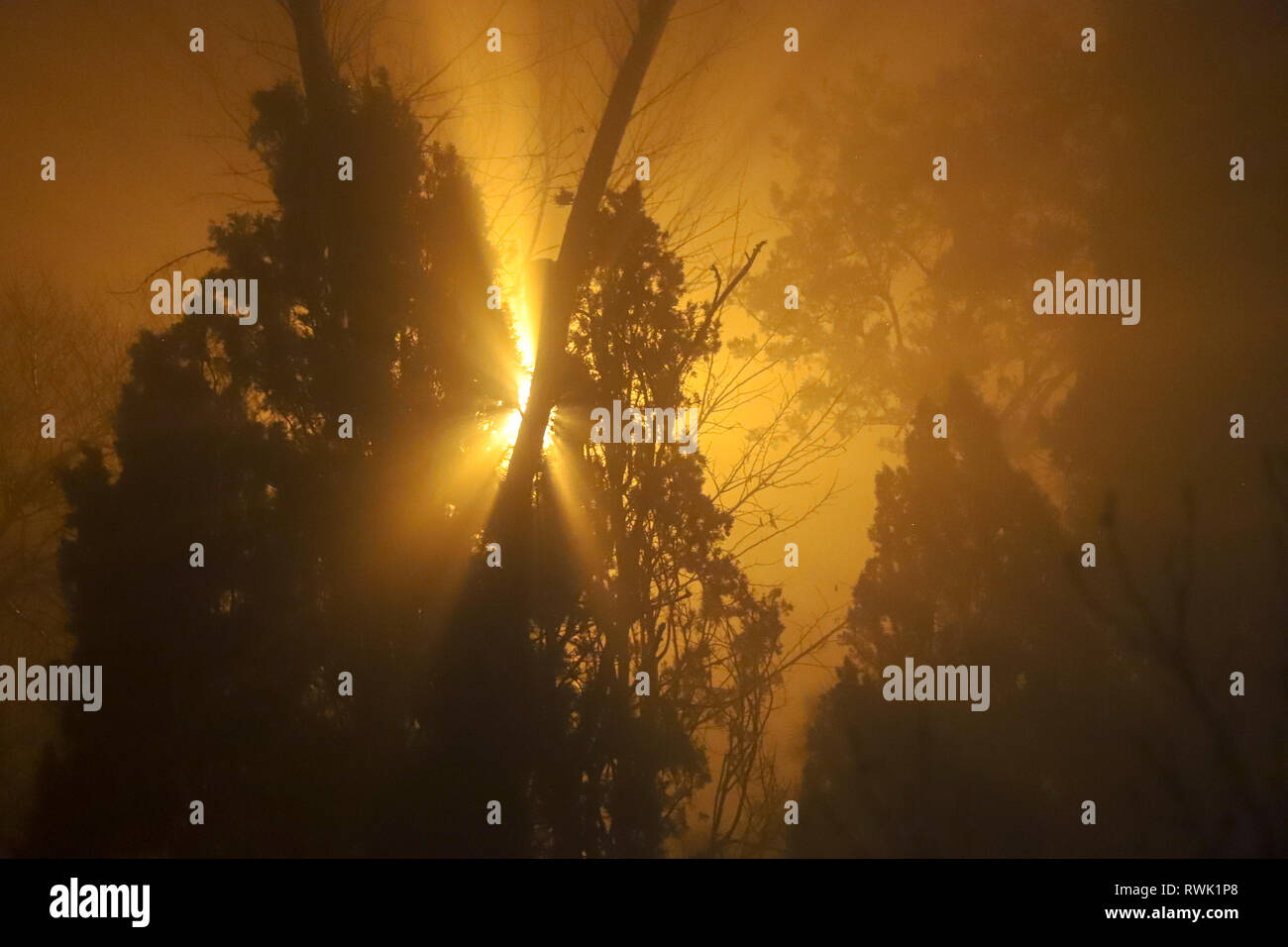 Fog and light in the night Stock Photo - Alamy