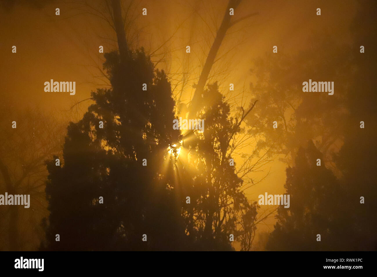 Fog and light in the night Stock Photo - Alamy