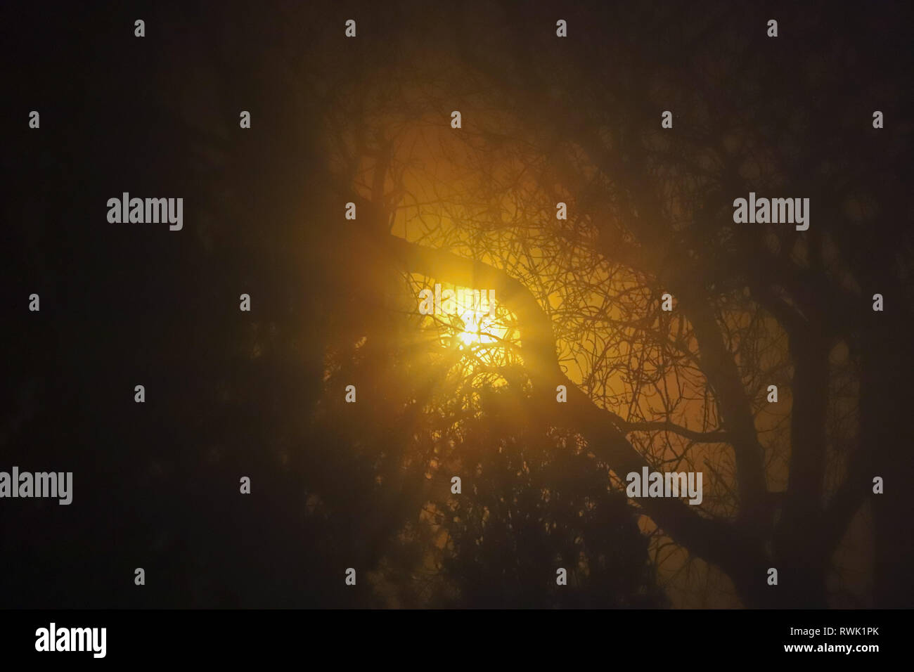 Fog and light in the night Stock Photo - Alamy