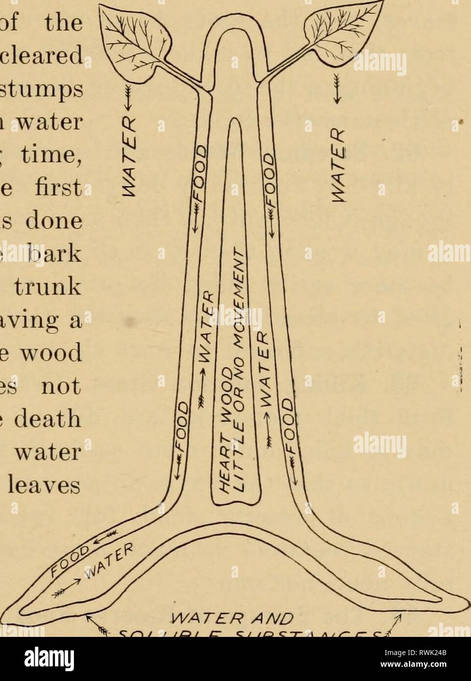Elementary principles of agriculture; a Stock Photo - Alamy