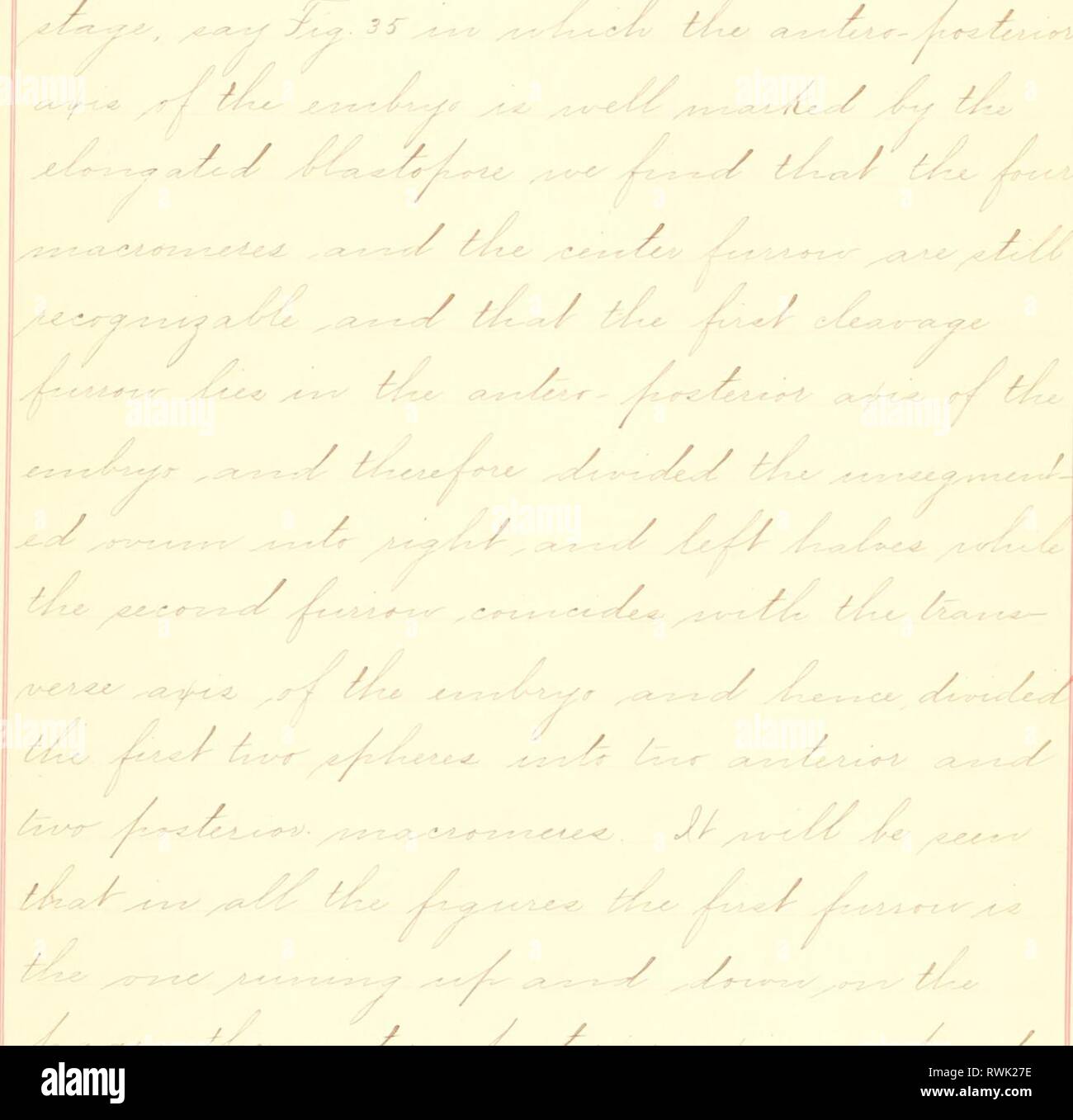 The embryology of Crepidula (1897) The embryology of Crepidula ...