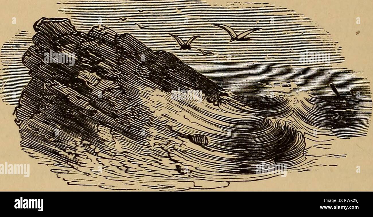 Elements of geology a Stock Photo - Alamy