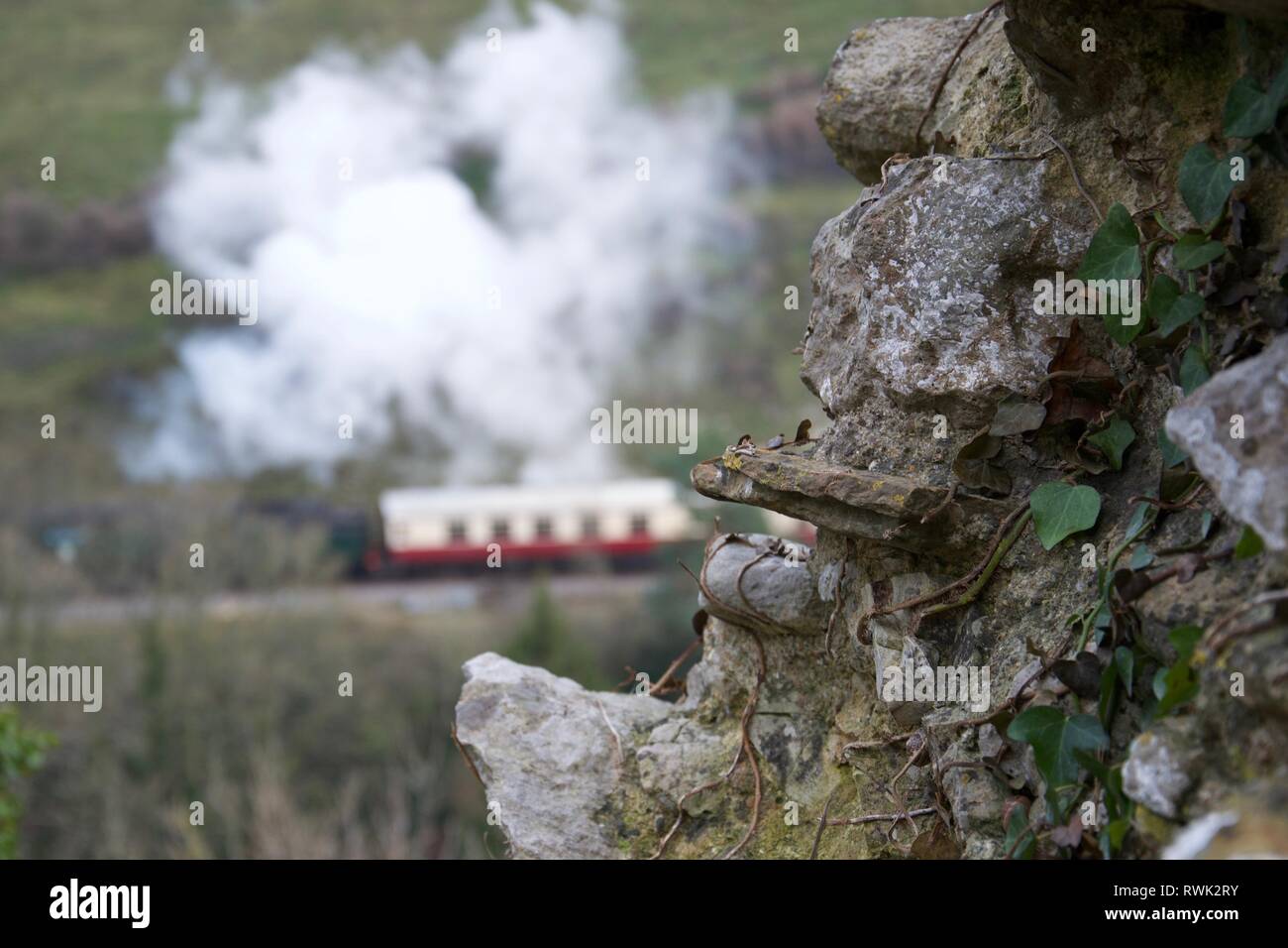 Focus on ancient stone and mortar wall with some ivy. Traditional old ...