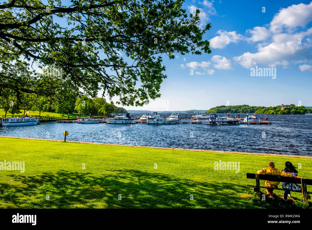Lough key forest park hi-res stock photography and images - Alamy