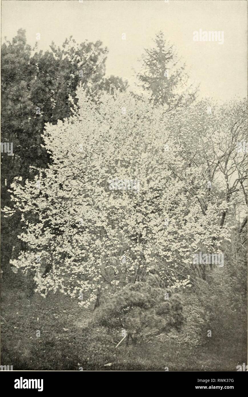 Ellwanger & Barry Mount Stock Photo - Alamy