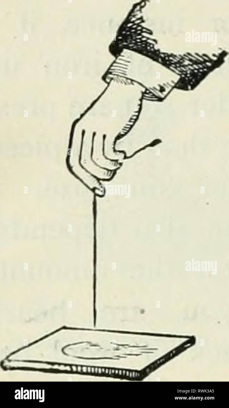 Elementary physics and chemistry first Stock Photo - Alamy