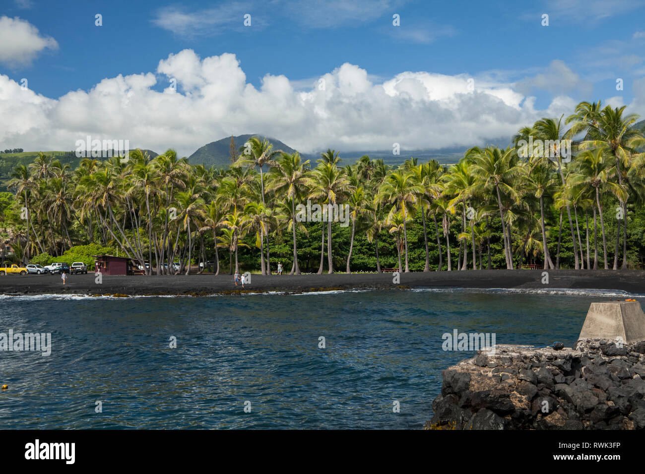 PunaluÊ»u Beach, a black sand beach lined with palm trees along the ...