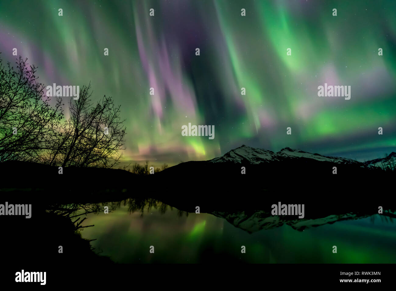 Northern Lights over Moose Lake, Tongass National Forest; Alaska ...