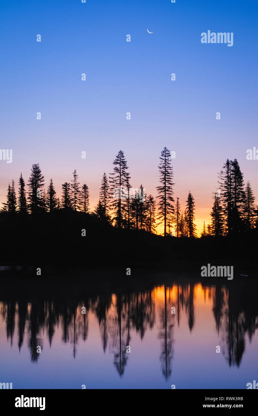 Bench lake mount rainier hi-res stock photography and images - Alamy