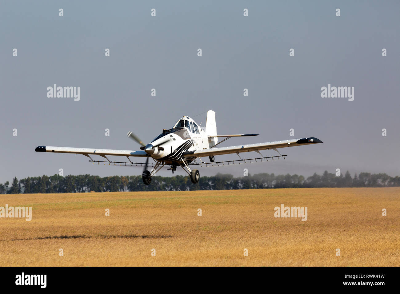 Crop duster plane spraying a green grain field with blue sky and clouds ...