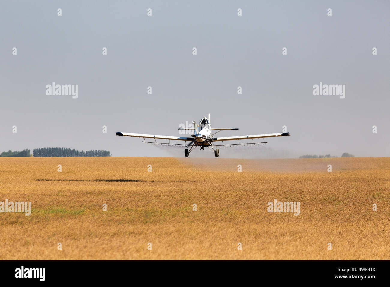 Crop duster plane spraying a green grain field with blue sky and clouds ...