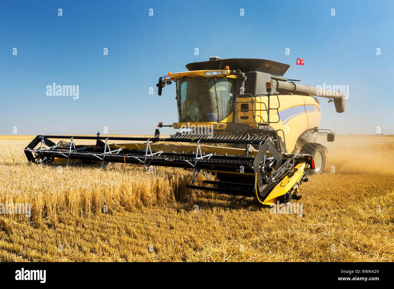 Combine harvesting a golden barley field; Beiseker, Alberta, Canada ...