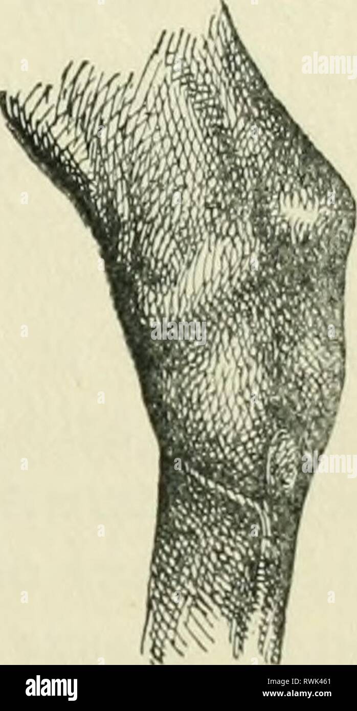 Curb cuts hi-res stock photography and images - Alamy