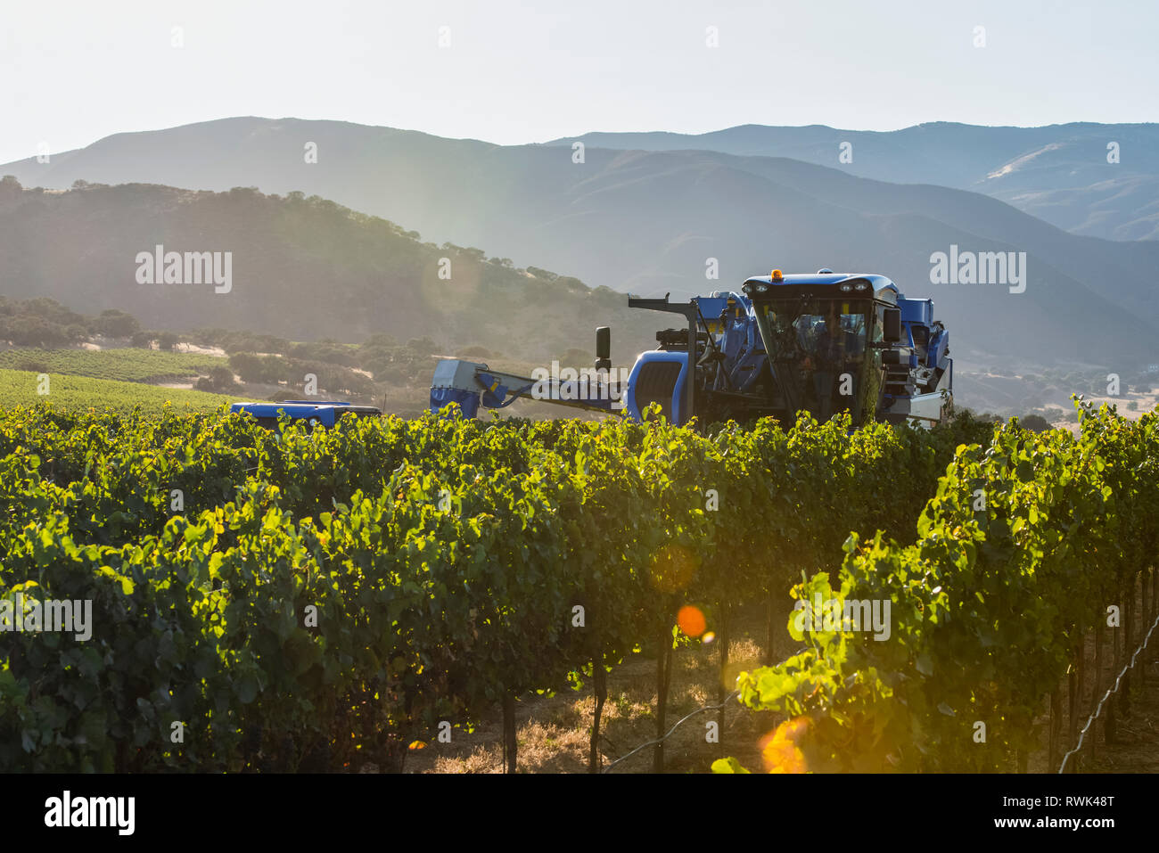 Grape harvester hi-res stock photography and images - Alamy