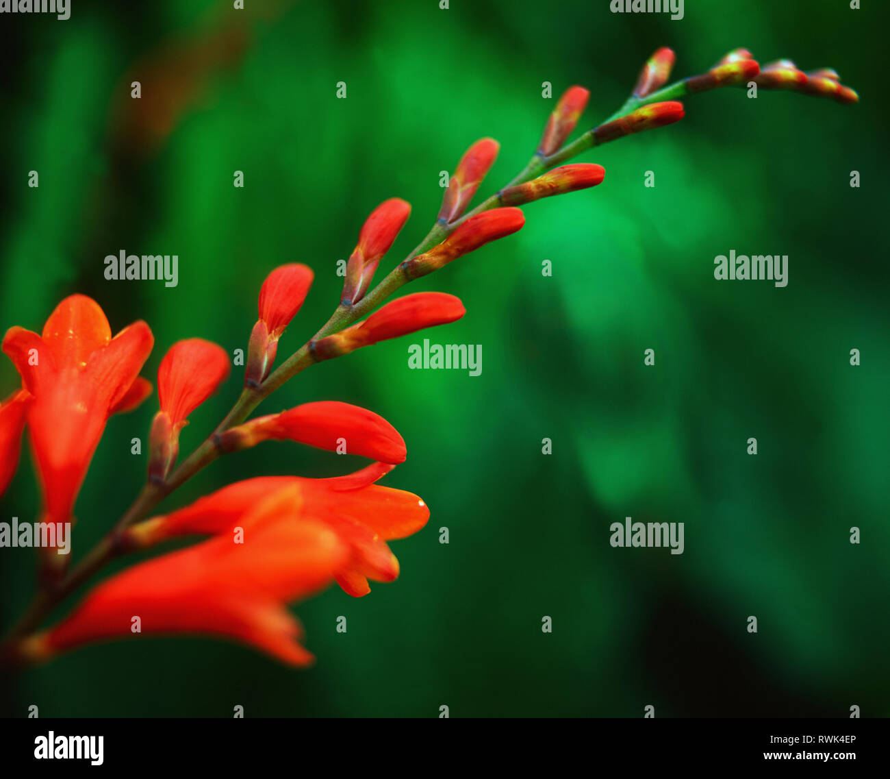 Falling up stars hi-res stock photography and images - Alamy