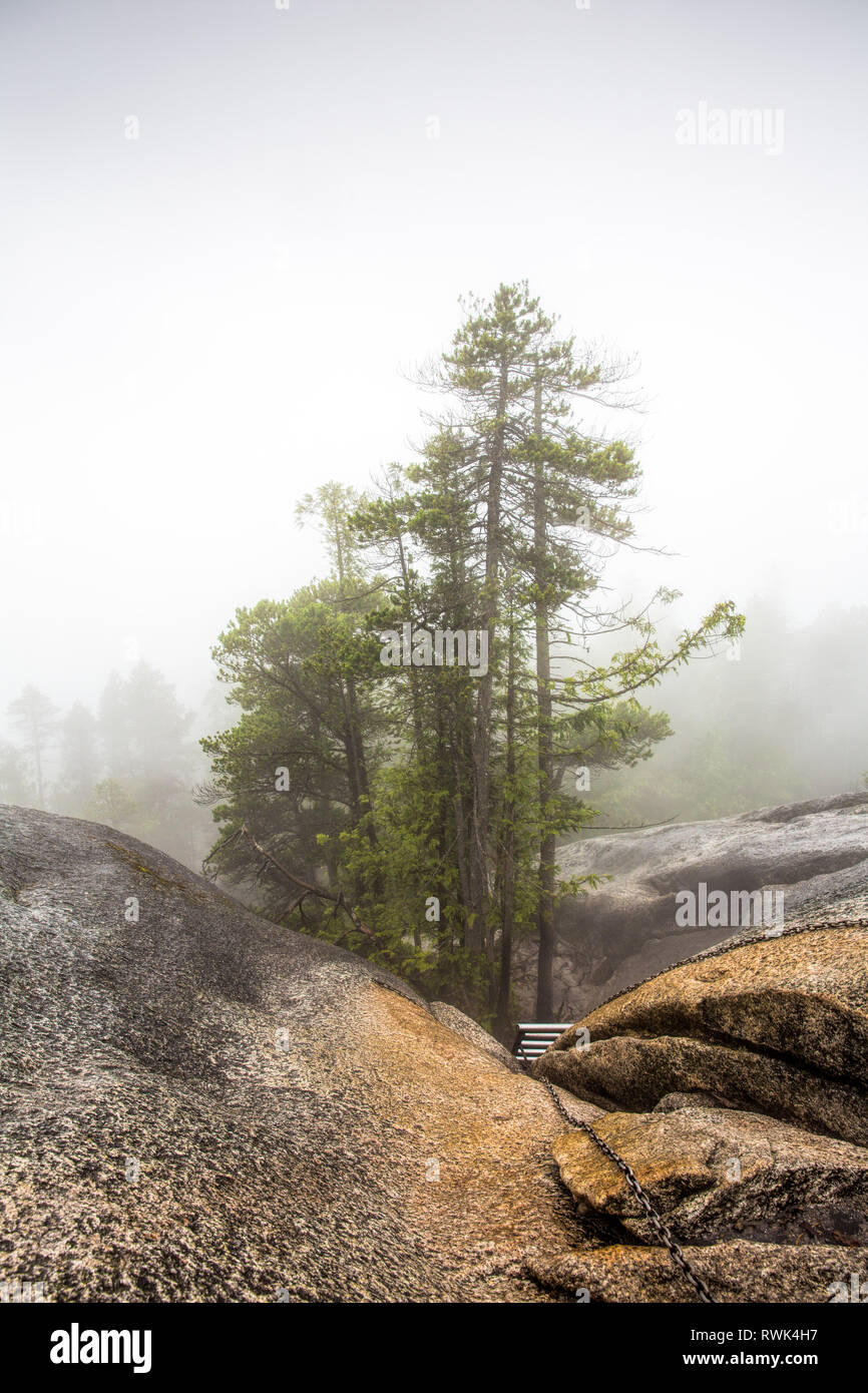 Chains for climbing the first peak of the stawamus Chief hiking trail ...
