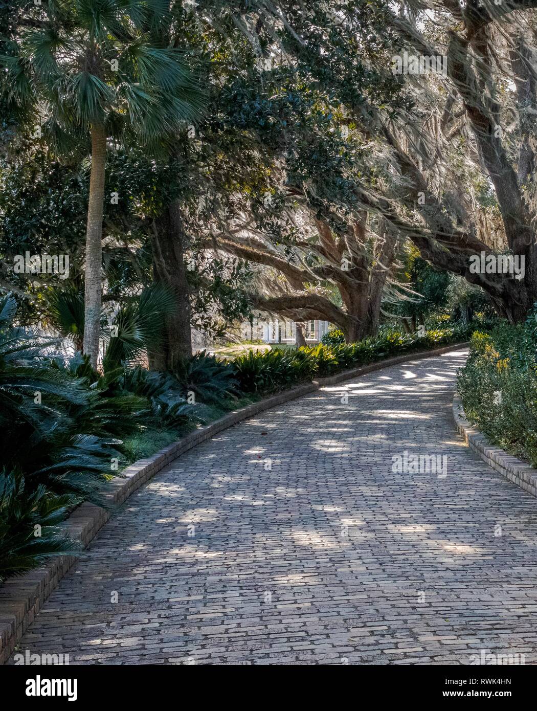 Maclay gardens state park hi-res stock photography and images - Alamy