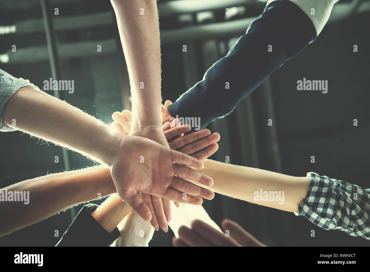 multiethnic Group of young business people celebrating success at their ...