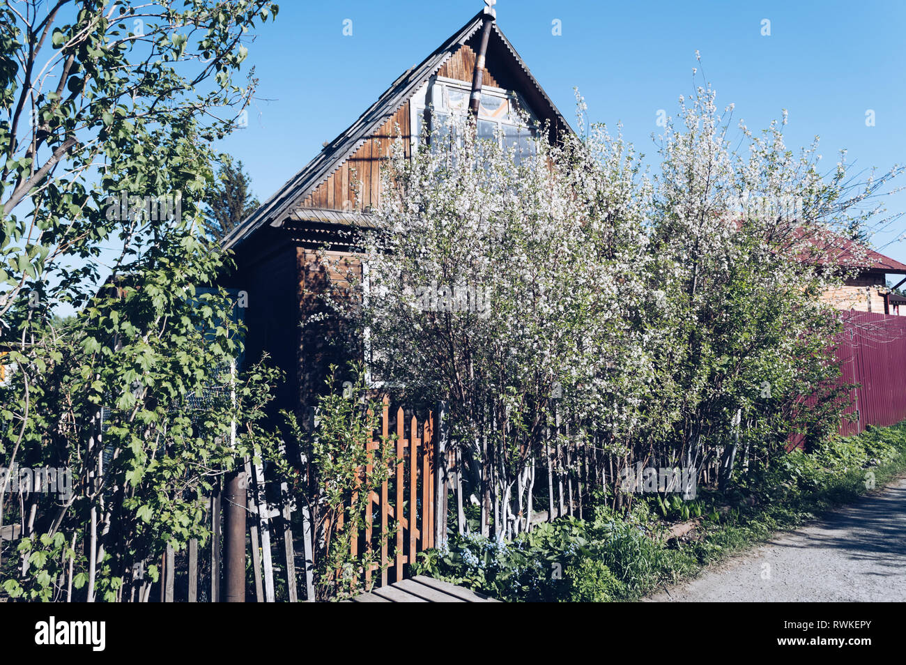 Dacha russia hi-res stock photography and images - Alamy