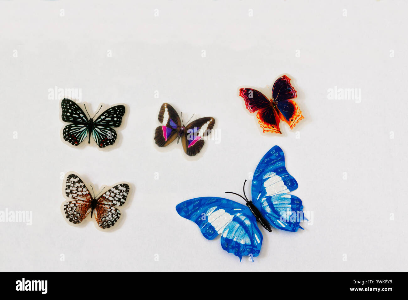 Set of beautiful and different decorative butterflies isolated by white ...