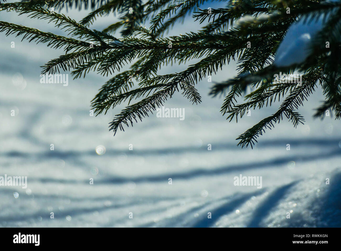 March snow hi-res stock photography and images - Alamy