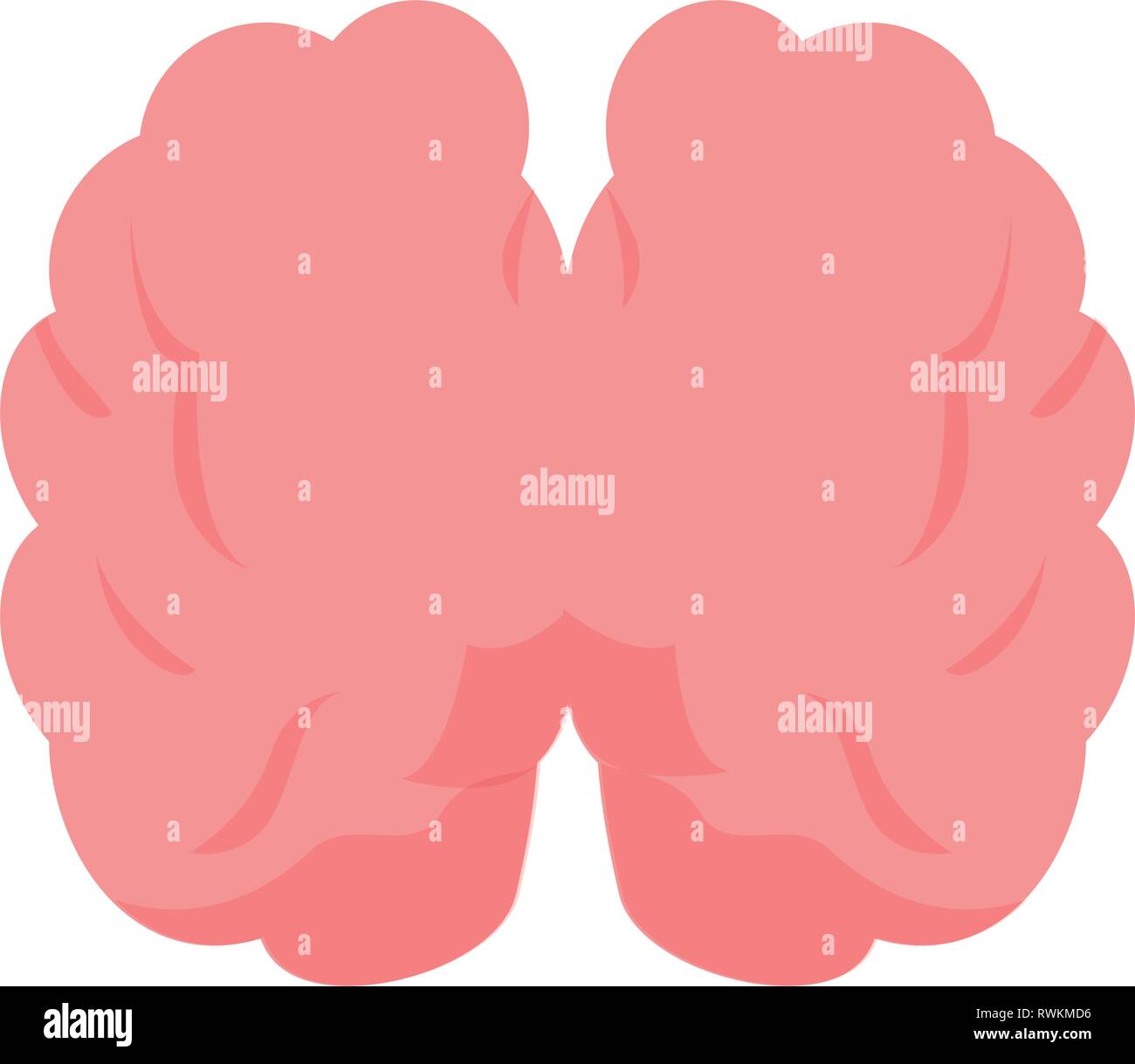top view human brain Stock Vector Image & Art - Alamy