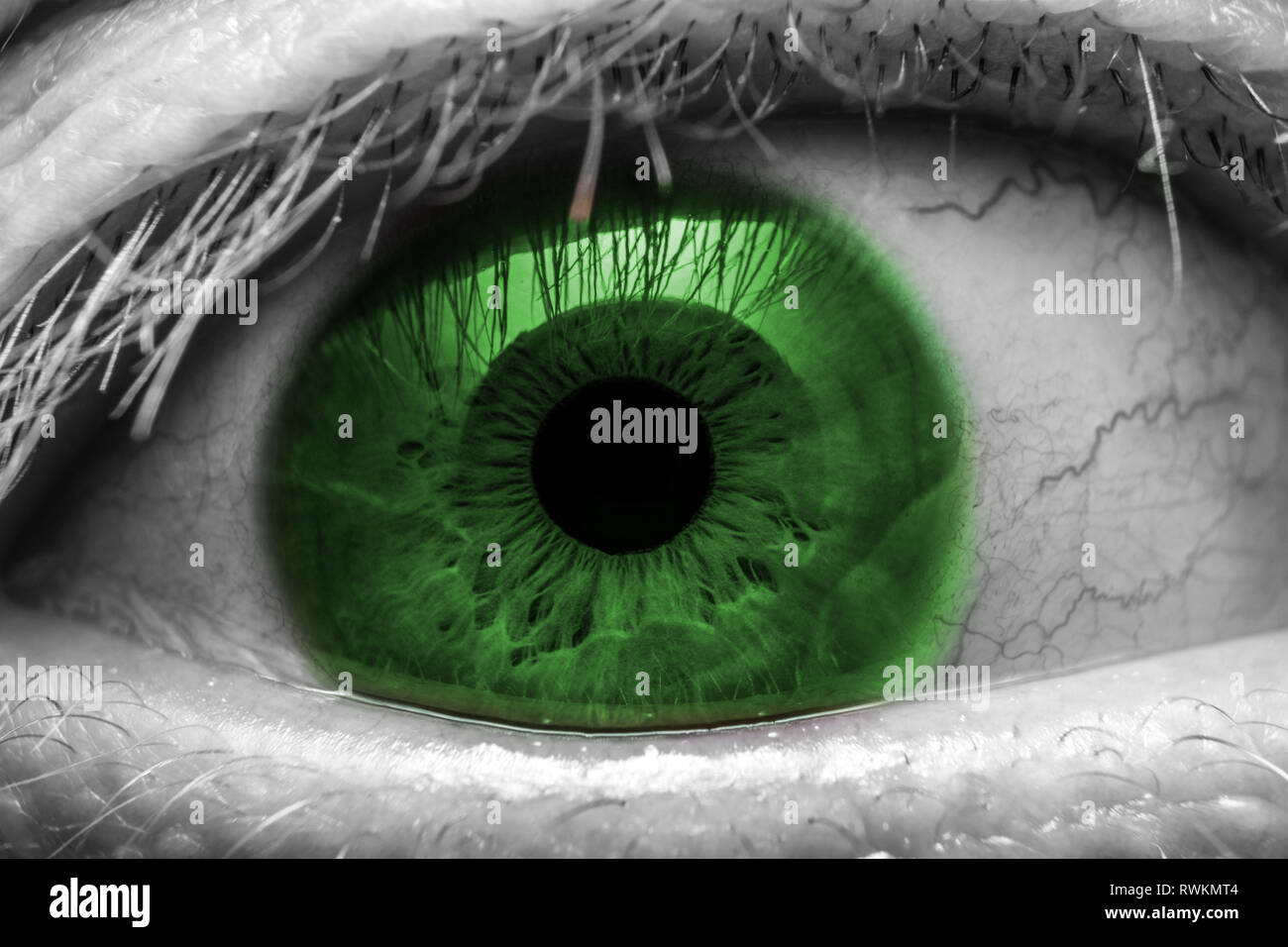 Human Eye Close Up Stock Photos & Human Eye Close Up Stock Images - Alamy