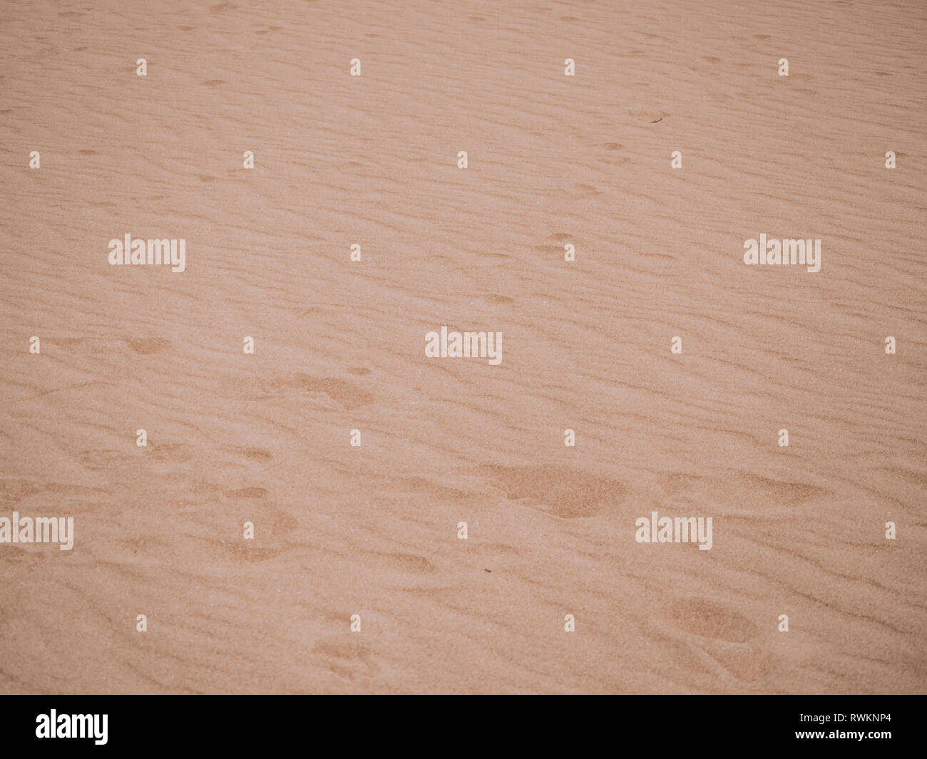 sand texture with footprints Stock Photo - Alamy