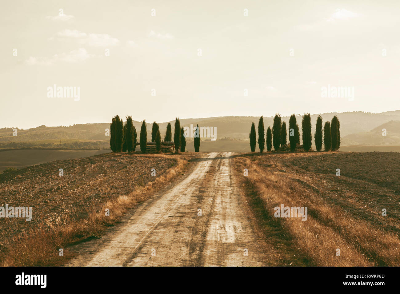 Dirt road through countryside, Tuscany, Italy Stock Photo - Alamy