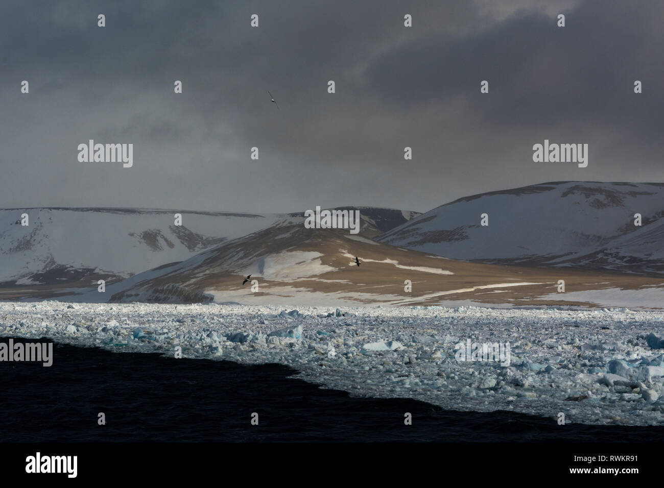 Coastal landscape and shorefast ice, Wahlenberg Fjord, Nordaustlandet ...