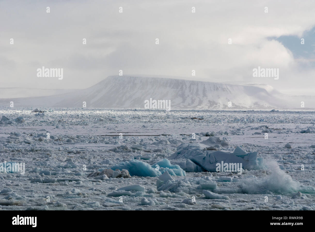 Arctic ocean sea ice and snowy coastal landscape, Wahlenberg fjord ...