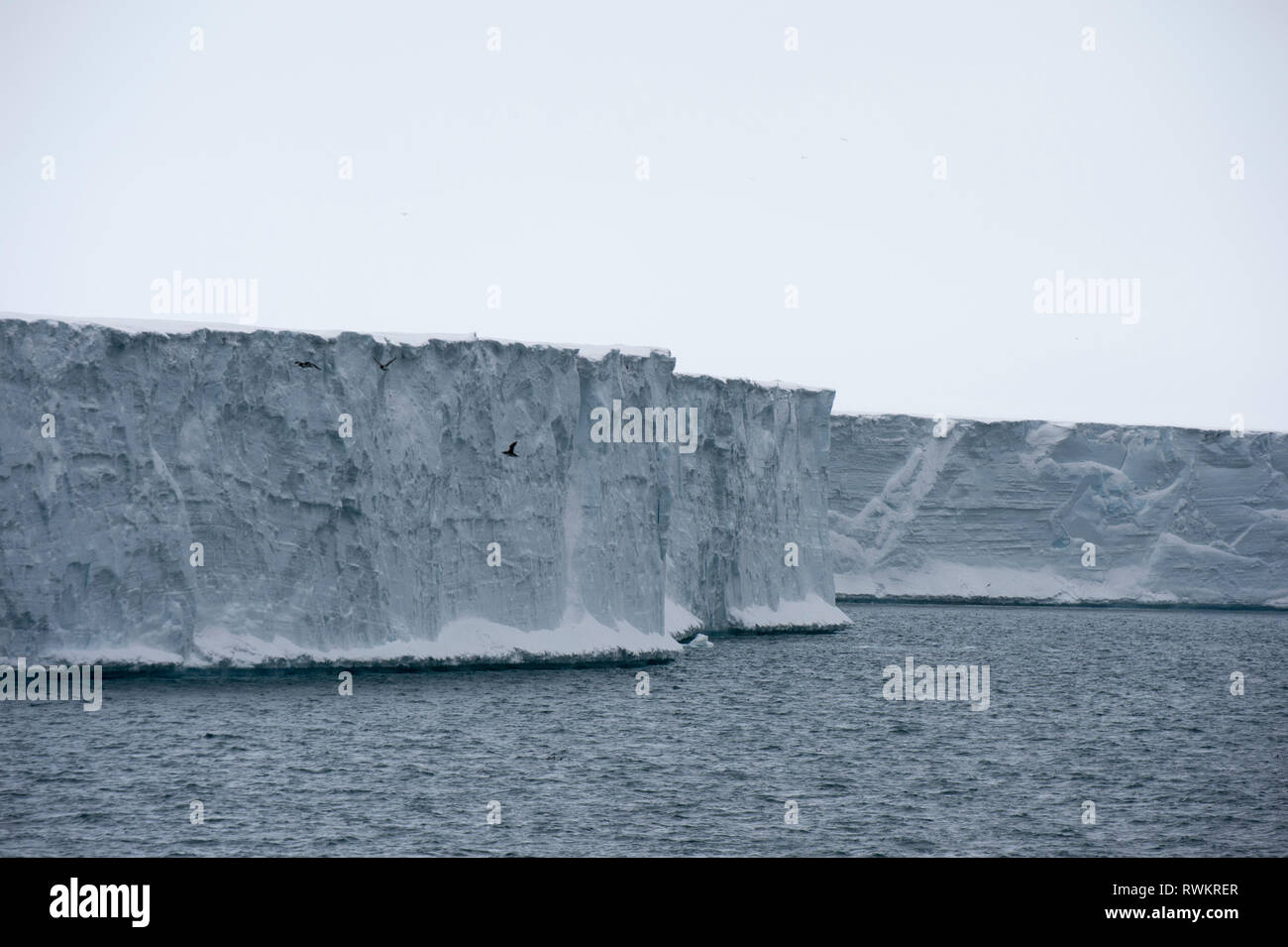 Arctic ocean and ice cliffs of polar ice cap, Austfonna Nordaustlandet ...