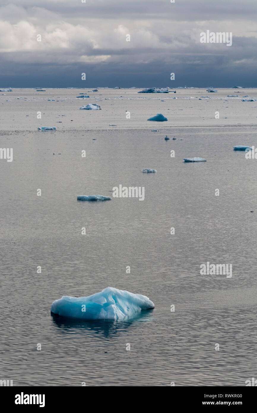 Arctic ocean ice floe seascape, Erik Eriksenstretet strait separating ...