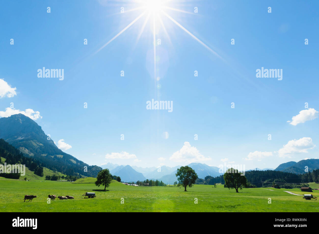 Sunny day in countryside hi-res stock photography and images - Alamy