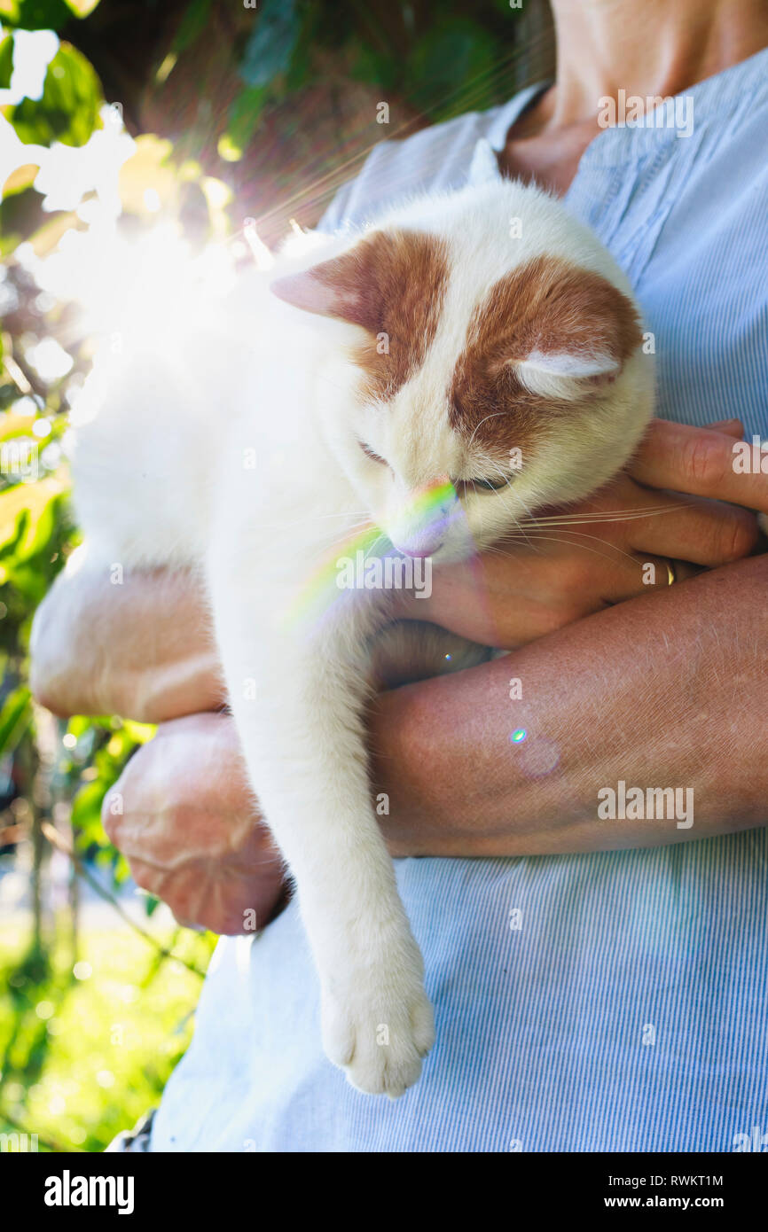 Woman carrying cat in countryside Stock Photo - Alamy