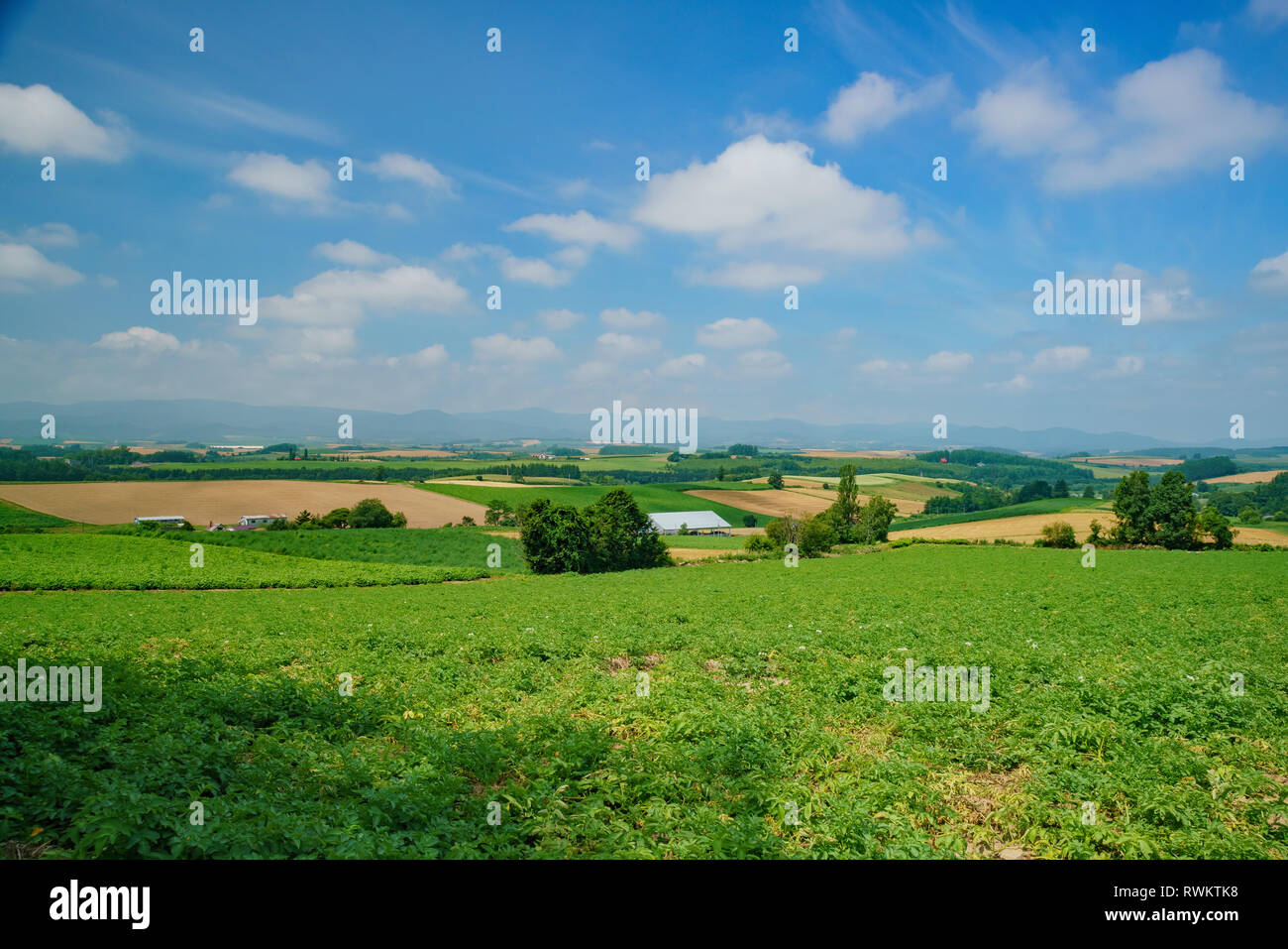 Aerial view of the Furano rural farm landscape at Hokkaido, Japan Stock ...