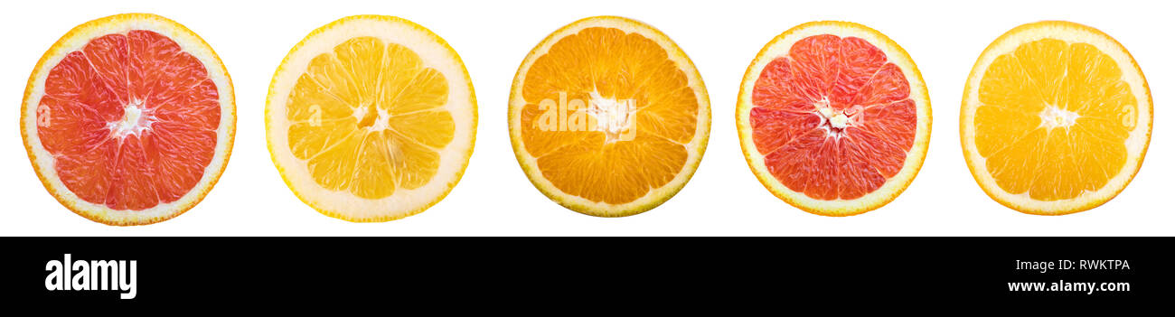 Citrus fruit. Slices isolated on white background. Collection. Clipping ...
