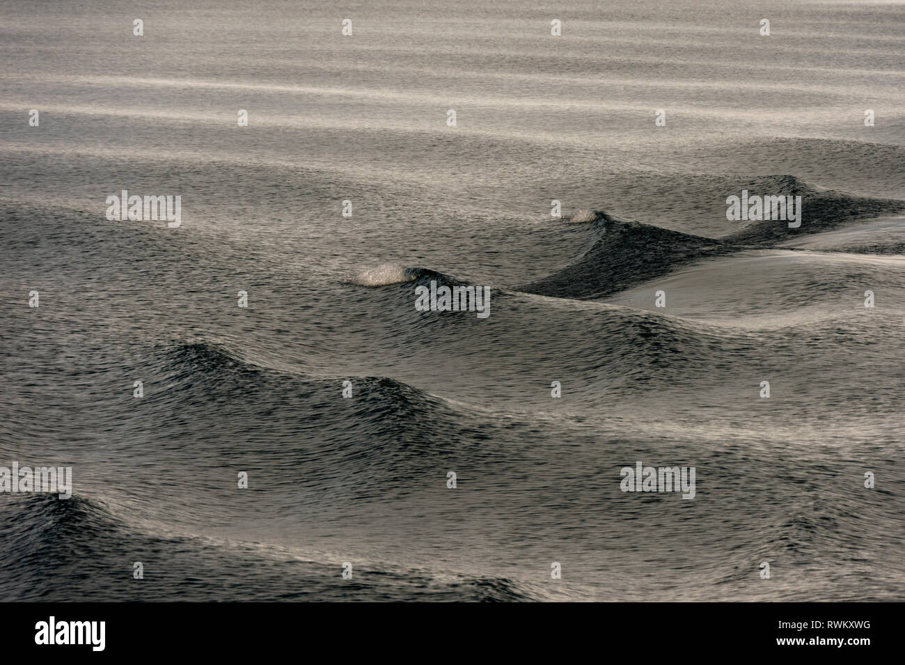 Waves in Arctic sea Stock Photo - Alamy
