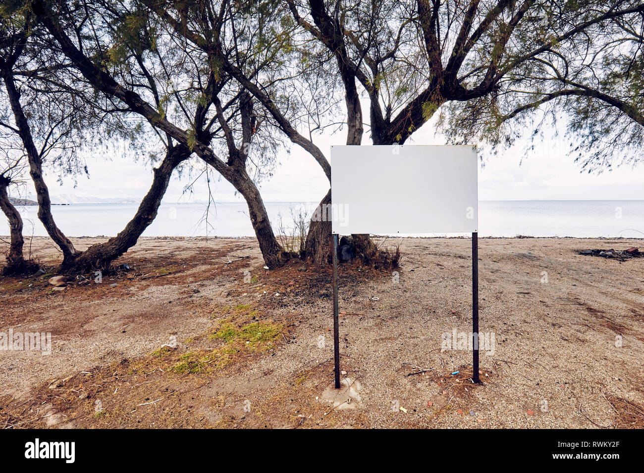 Blank empty white sign post on the beach near the sea on a seaside ...