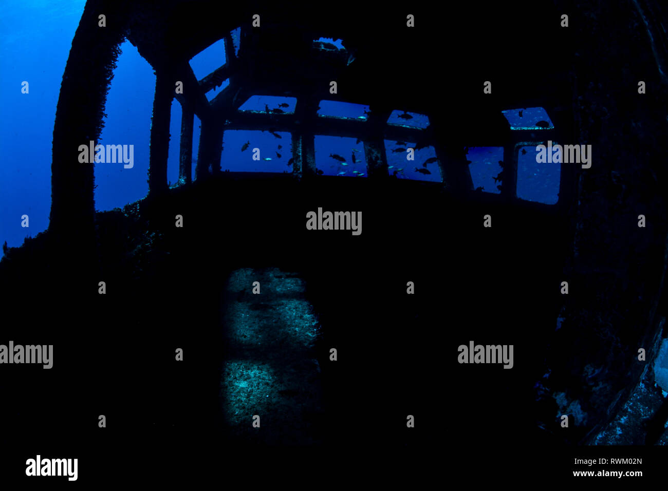 Inside shipwreck hi-res stock photography and images - Alamy
