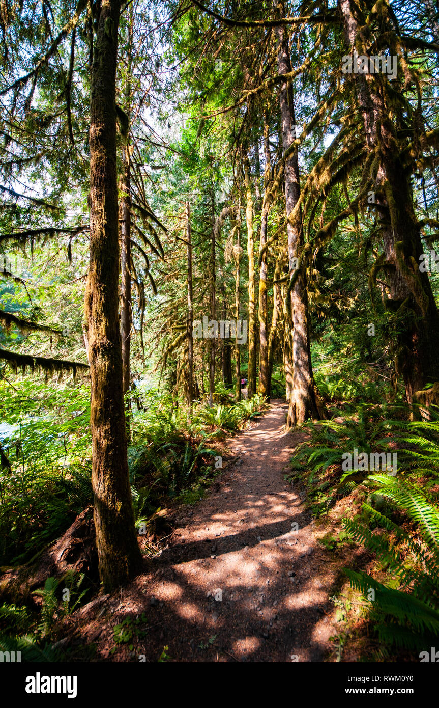 Mount Baker National Forest, Washington State, USA Stock Photo - Alamy