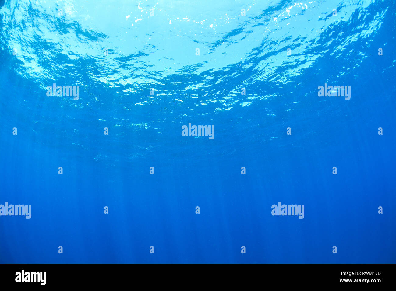 The blue ocean from underwater Stock Photo - Alamy
