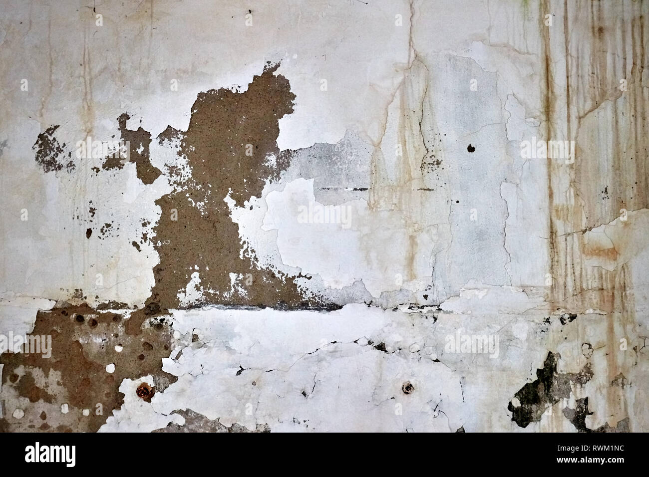 Cracked and peeling paint and grunge old white wall with a satan ...