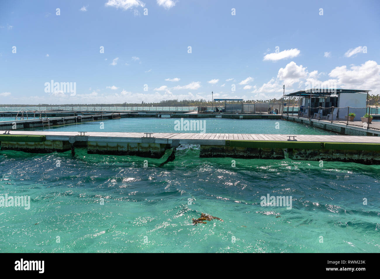 Dolphin pens hi-res stock photography and images - Alamy