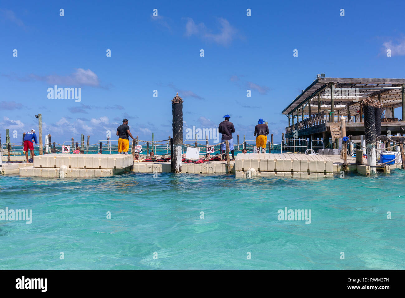 Punta cana dominican republic dolphin hi-res stock photography and ...