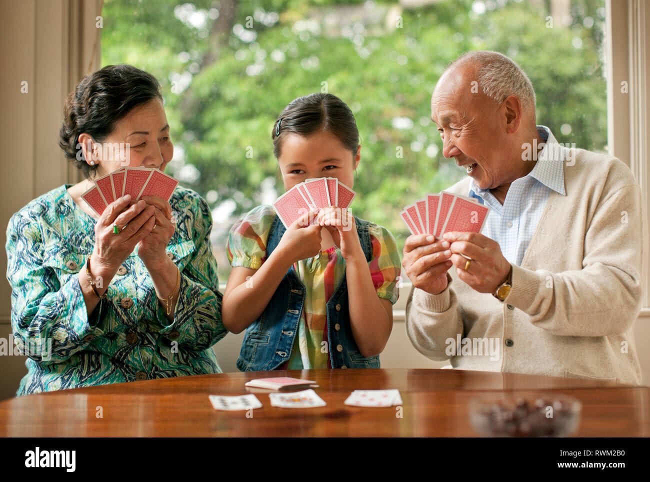 Young girl having fun playing a card game with her grandparents Stock ...