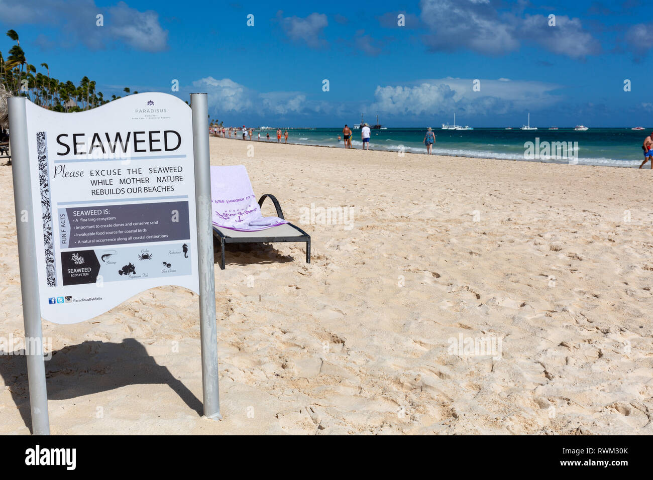 Seaweed sign on the beach Stock Photo - Alamy